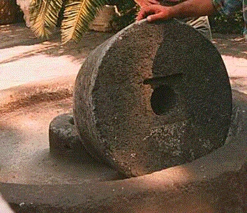 Makarios Bible Church - New Testament Exegesis